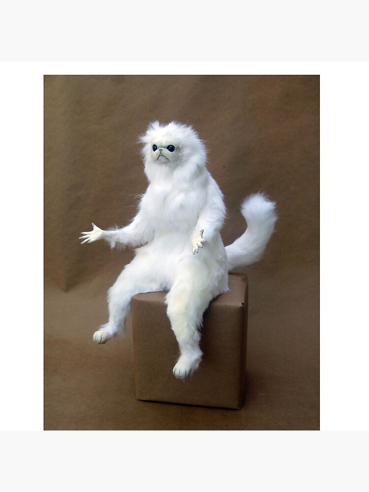 Bad Taxidermy Cat Memes Taxidermy Cat Meme Merch & Gifts For Sale