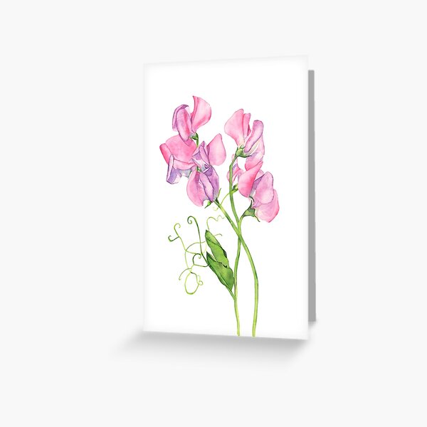 "Sweet Peas" Greeting Card by Louisedemasi | Redbubble