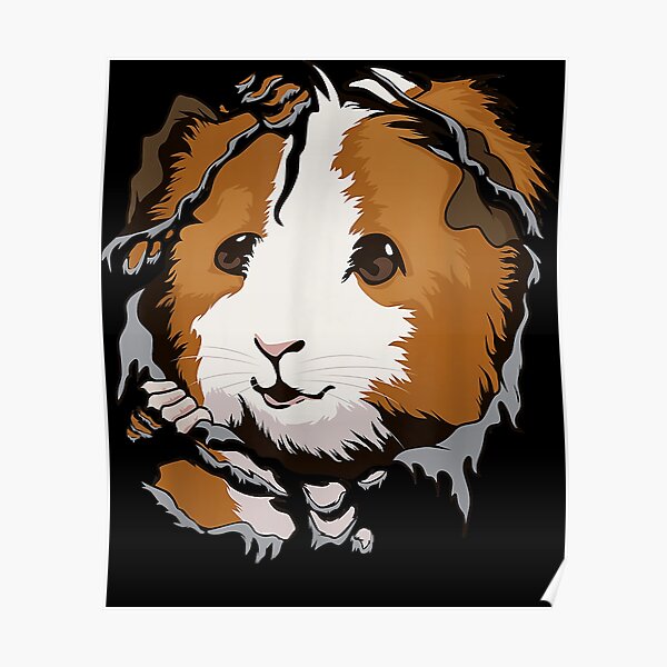 "Guinea Pig From Inside Torn Apparel Cavy Guinea Pig" Poster for Sale ...