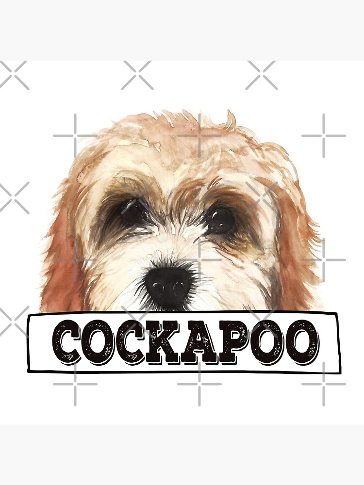 "Peeking Cockapoo " Poster for Sale by micheleaust | Redbubble