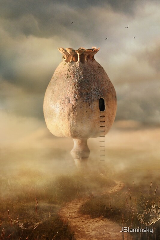 "Poppy house" by JBlaminsky | Redbubble