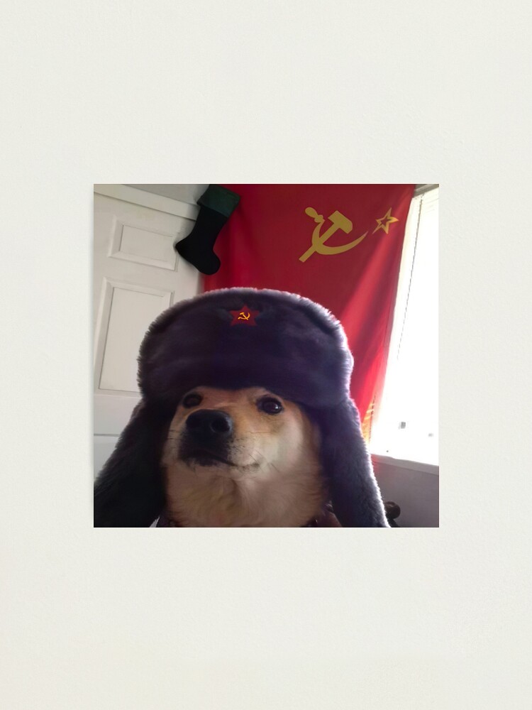"Communist Doge-Communism Dog Meme" Photographic Print for Sale by ...