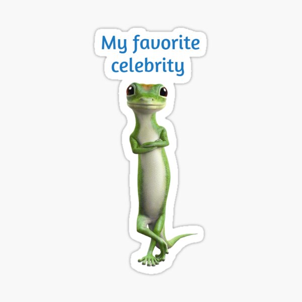 Geico Gifts & Merchandise | Redbubble