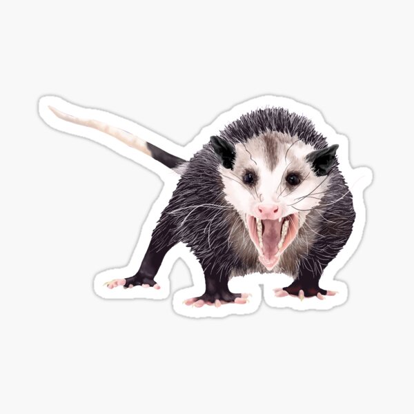 "Frank" Sticker for Sale by alittlewicked13 | Redbubble