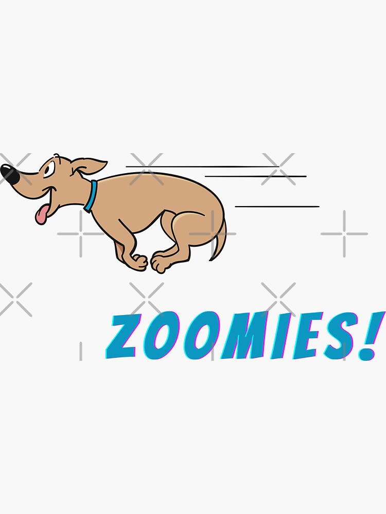 "Zoomies! (Blue)" Sticker for Sale by kookycomet | Redbubble