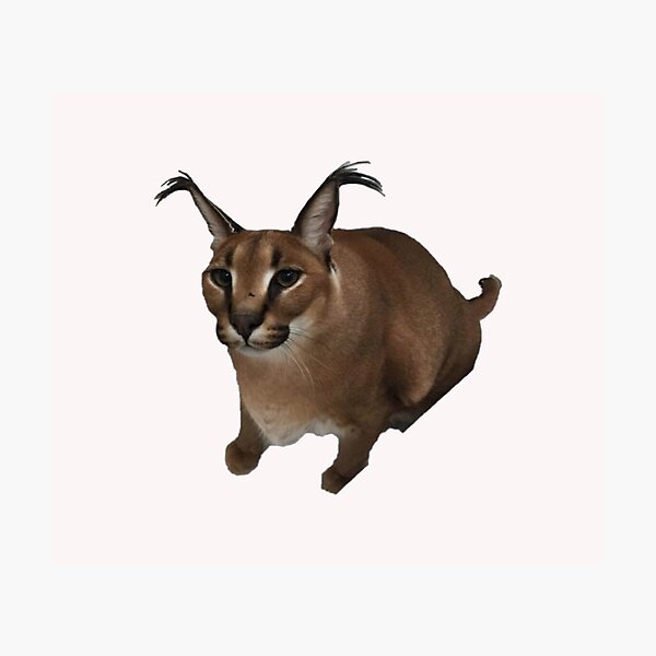 "Funny big floppa cat meme Gun Essential T-Shirt" Photographic Print ...