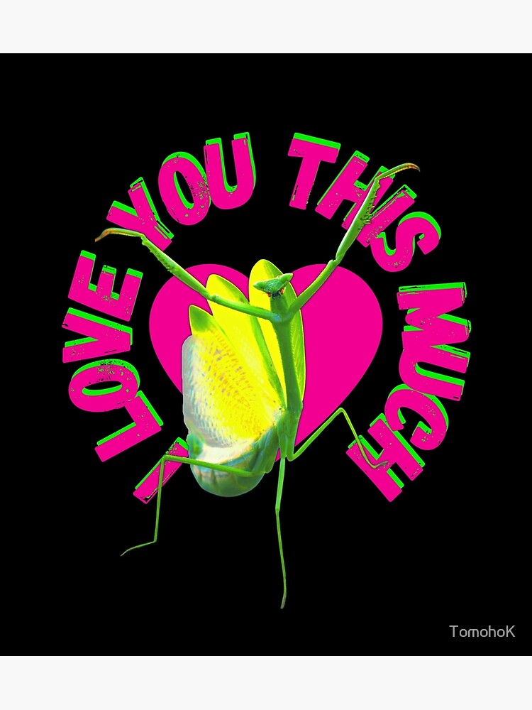 "I love you this Much! by TomohoK" Poster for Sale by TomohoK | Redbubble