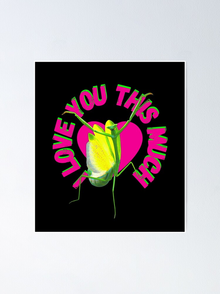 "I love you this Much! by TomohoK" Poster for Sale by TomohoK | Redbubble