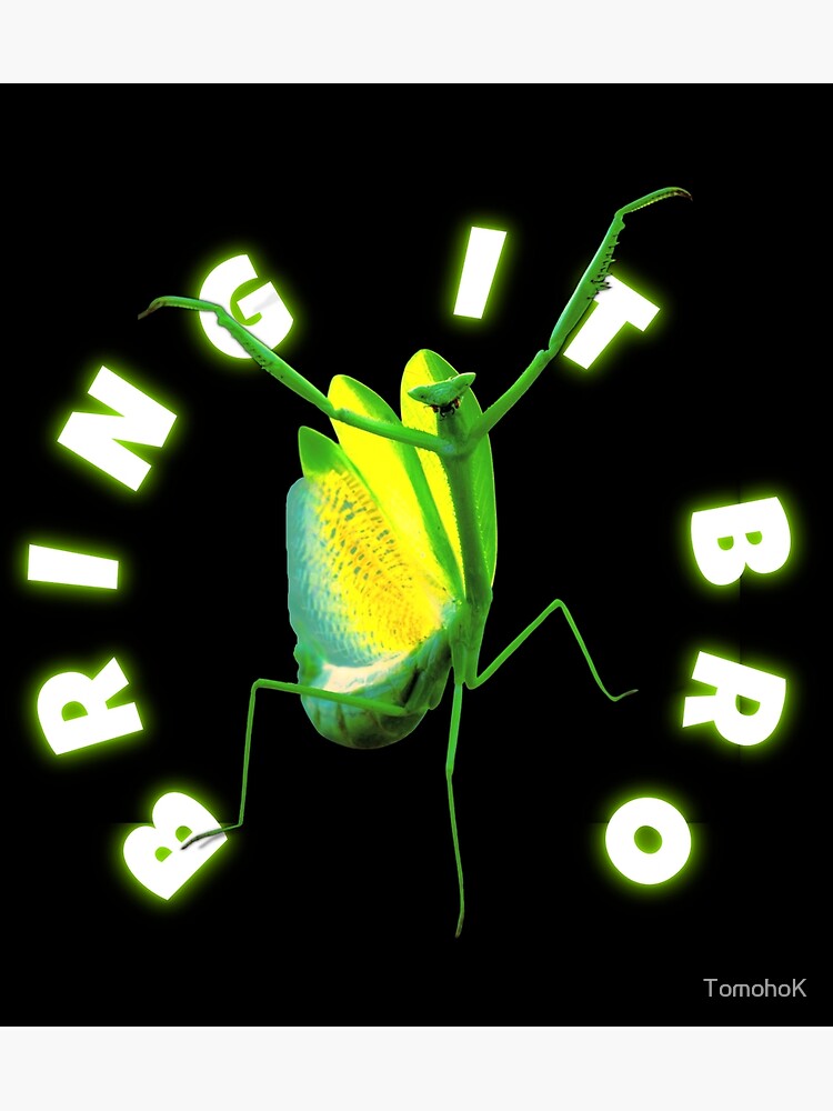 "Bring it Bro by Tomohok" Poster by TomohoK | Redbubble