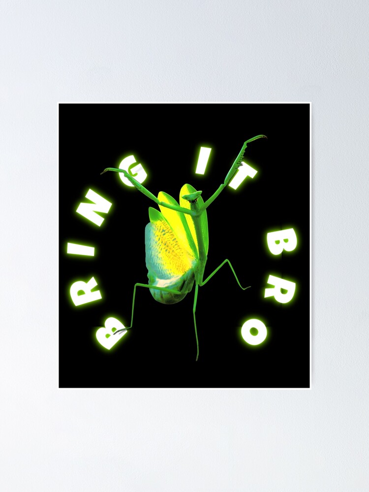 "Bring it Bro by Tomohok" Poster by TomohoK | Redbubble