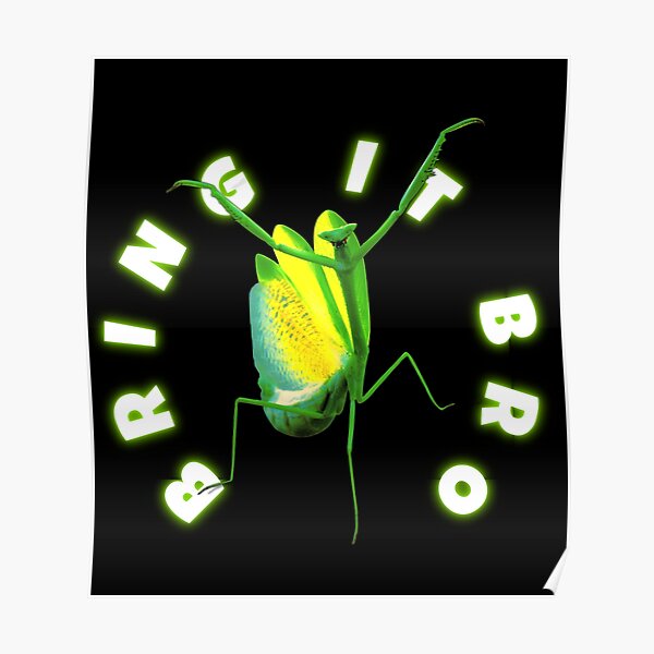 "Bring it Bro by Tomohok" Poster by TomohoK | Redbubble