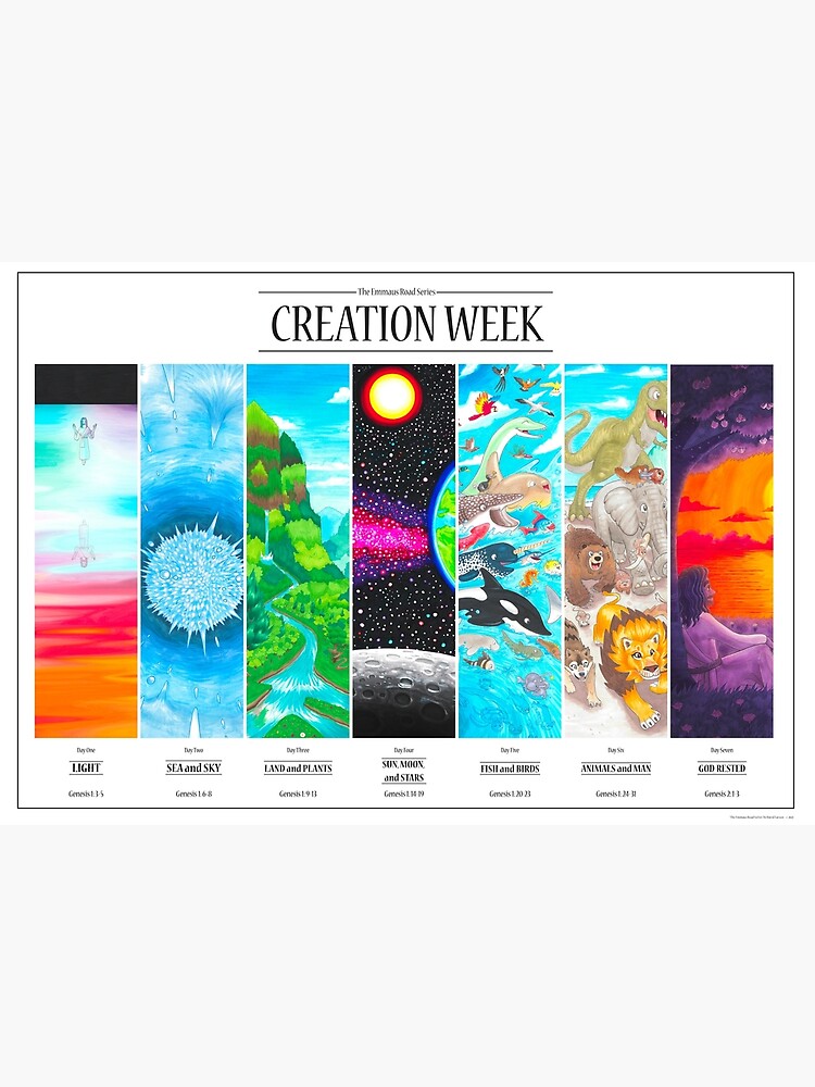 "Bible Study Creation Week " Poster for Sale by shmazey | Redbubble