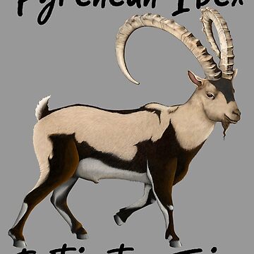 "Pyrenean Ibex - Extinct Twice" Poster for Sale by Kestrelle | Redbubble