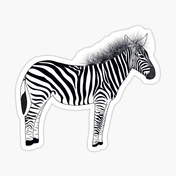 "Zebra" Sticker for Sale by ArcherAshleyArt | Redbubble