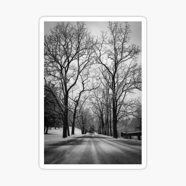 "Walnut Tree Lined Winter Road" Sticker for Sale by KC-IM | Redbubble