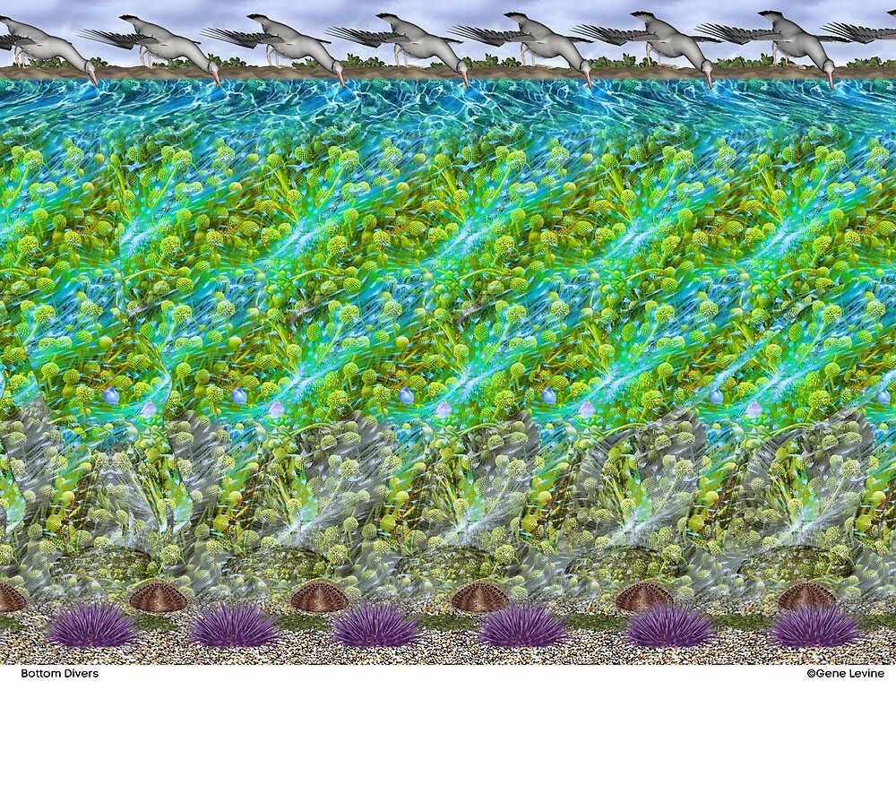 "Bottom Divers 3D Hidden Object Stereogram Illusion" by eyetricks ...