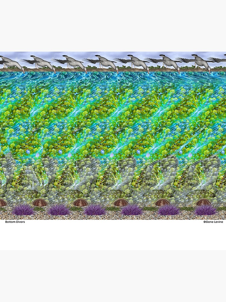 Bottom Divers 3D Hidden Object Stereogram Illusion Premium Matte ...