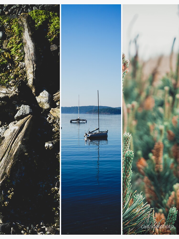 "Collage of Oregon Coast Photography" Sticker by caitriderphoto | Redbubble