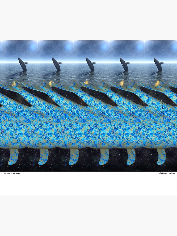 Cosmic Whale 3D Hidden Image Stereogram Illusion Premium Matte Vertical ...