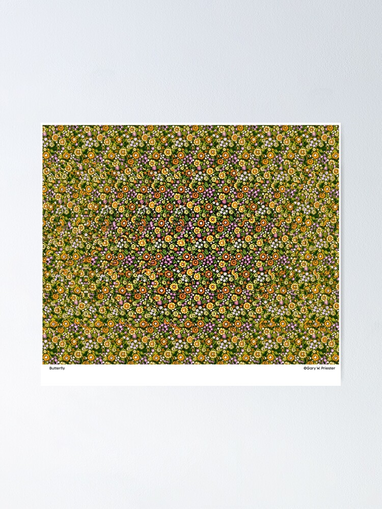 "Butterfly 3D Hidden Image Stereogram Illusion" Poster for Sale by ...