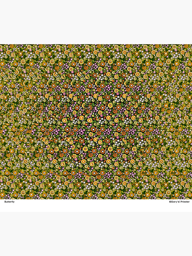 "Butterfly 3D Hidden Image Stereogram Illusion" Sticker by eyetricks ...