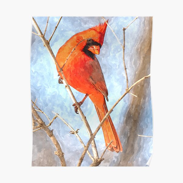 "Red robin. Digital watercolor painting" Poster for Sale by Calaimatge ...
