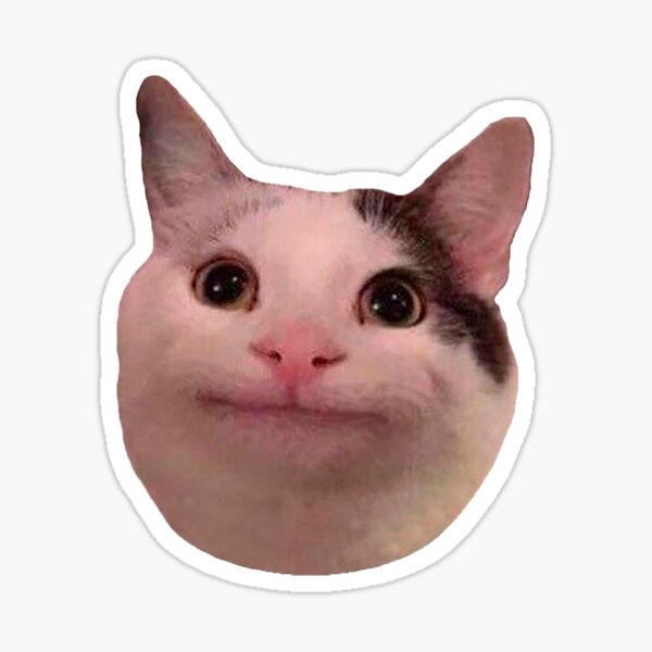 Gato gritando | Cute cat memes, Funny cat faces, Cat memes⭕ Explore o ... Gato gritando | Cute cat memes, Funny cat faces, Cat memes⭕ Explore o ...