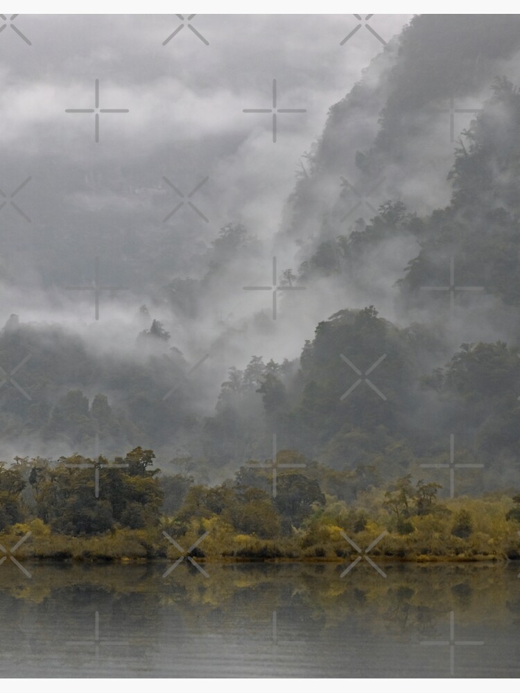 "Forest Magic In The Doubtful Sound" Sticker for Sale by Alex Preiss ...