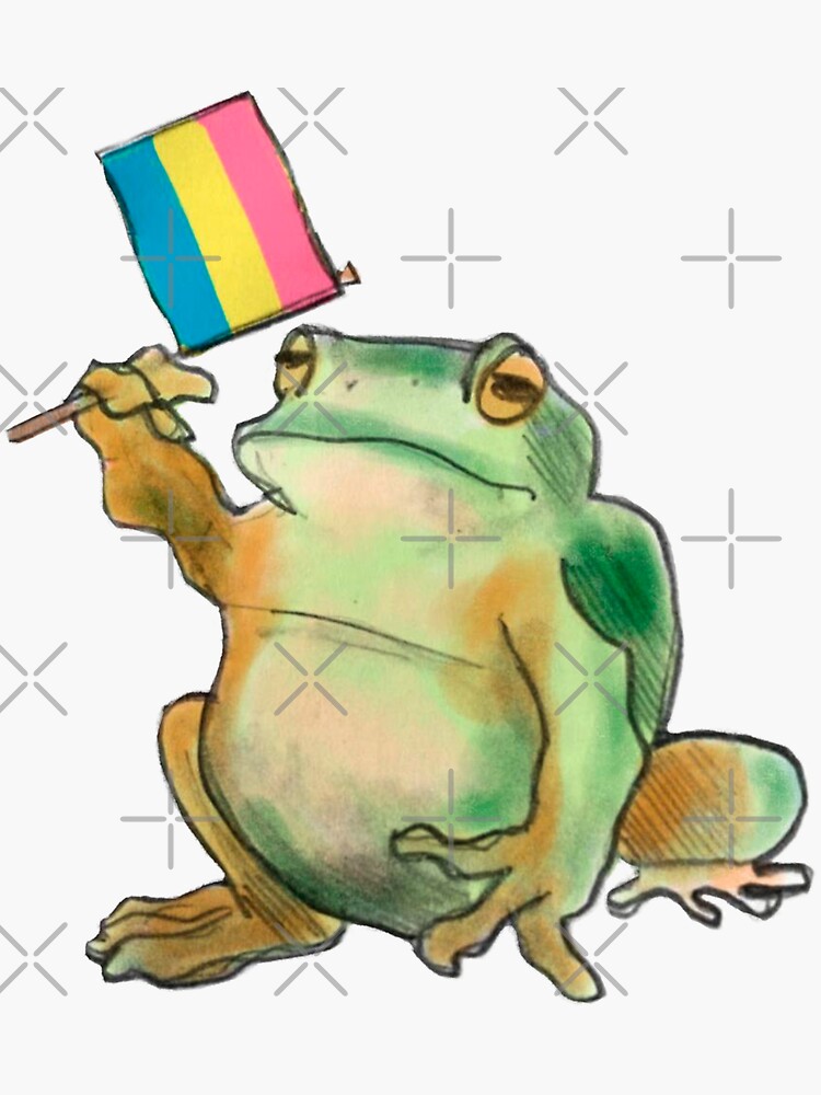 "pan pride flag frog " Sticker by shmyga | Redbubble