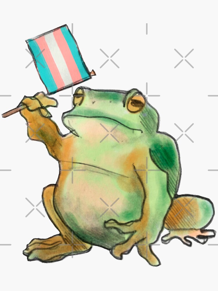 "trans pride flag frog " Sticker by shmyga | Redbubble