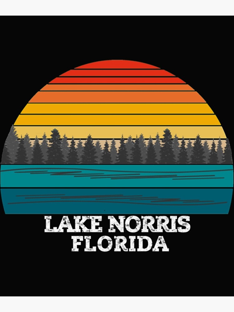 "Lake Norris Florida " Poster for Sale by ArtCrist | Redbubble