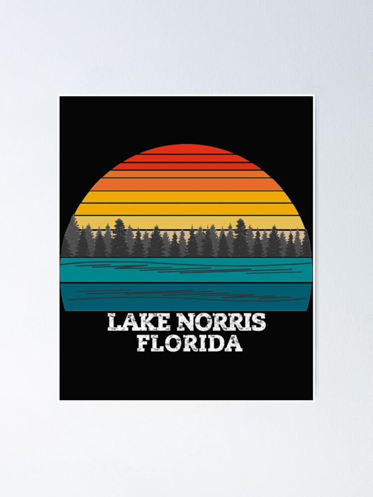 "Lake Norris Florida " Poster for Sale by ArtCrist | Redbubble