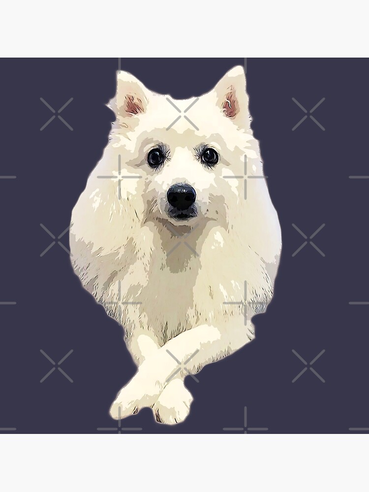 "Japanese Spitz Cute Leg Cross " Poster for Sale by Elarex | Redbubble