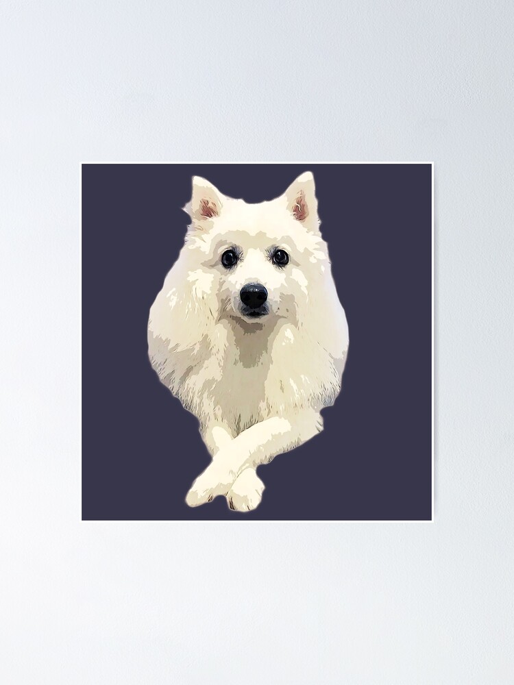 "Japanese Spitz Cute Leg Cross " Poster for Sale by Elarex | Redbubble