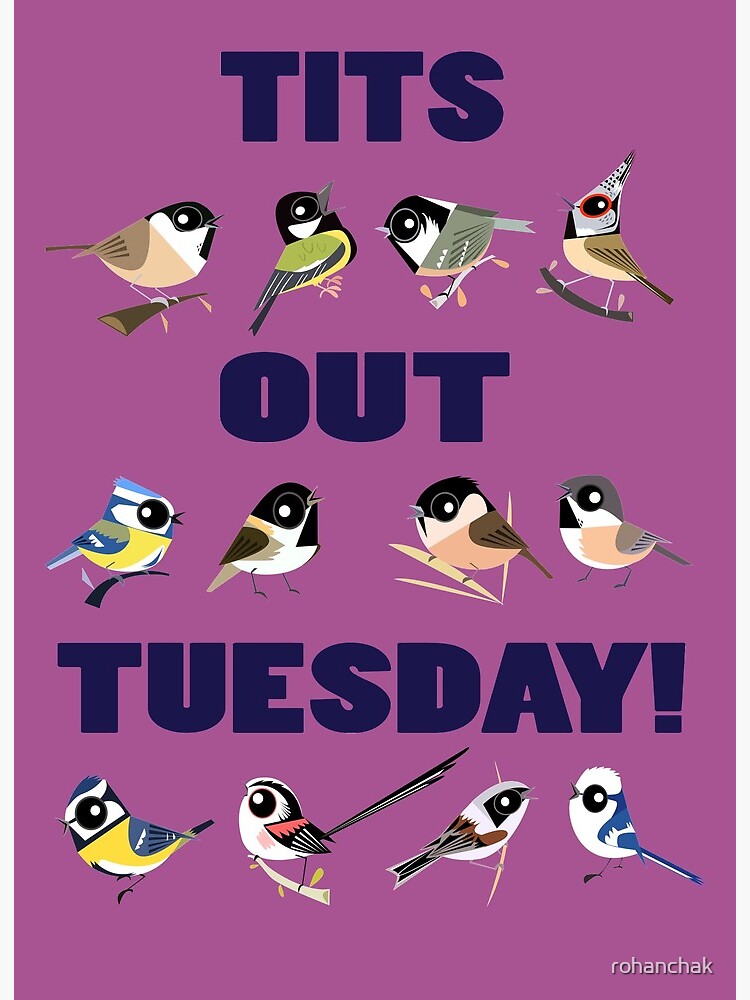 "Tits Out Tuesday" Art Board Print for Sale by rohanchak | Redbubble