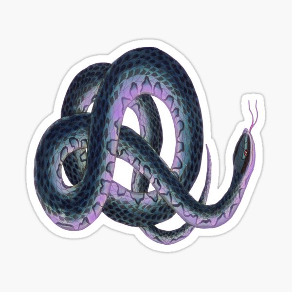 "Stylish Python Anaconda Snake pattern design" Sticker for Sale by ...