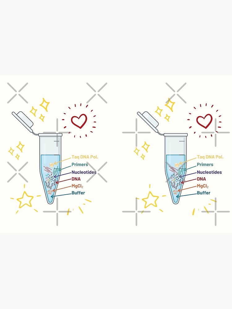 "The Perfect PCR Polymerase Chain Reaction Process Steps Chemicals ...