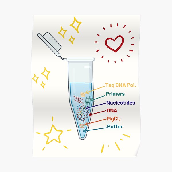 "The Perfect PCR Polymerase Chain Reaction Process Steps Chemicals ...