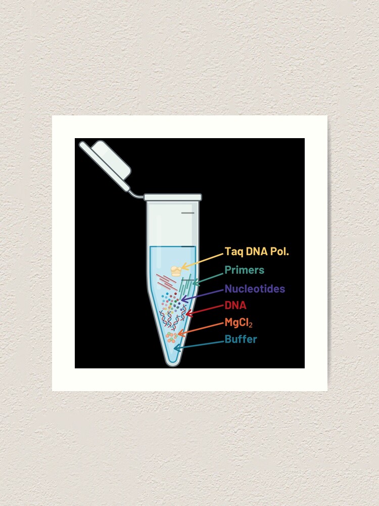 "The Perfect PCR Polymerase Chain Reaction Process Steps Chemicals ...