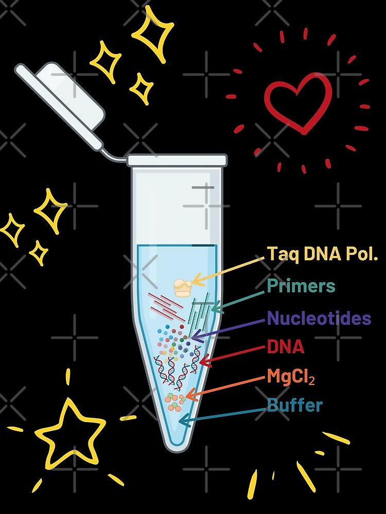 The Perfect PCR Polymerase Chain Reaction Process Steps Chemicals ...