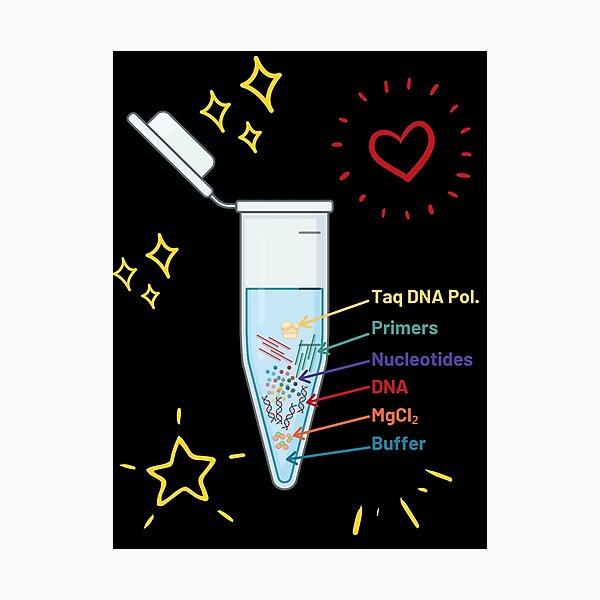 Lámina fotográfica «El perfecto proceso de reacción en cadena de la ...