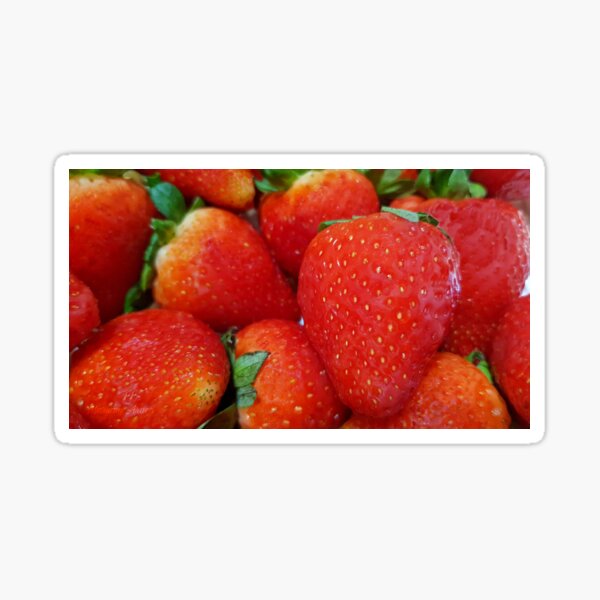 ""Strawberries"" Sticker by MrymRIE | Redbubble