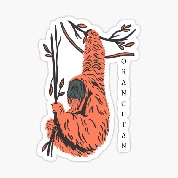 "Orangutan - Borneo" Sticker for Sale by Family02 | Redbubble