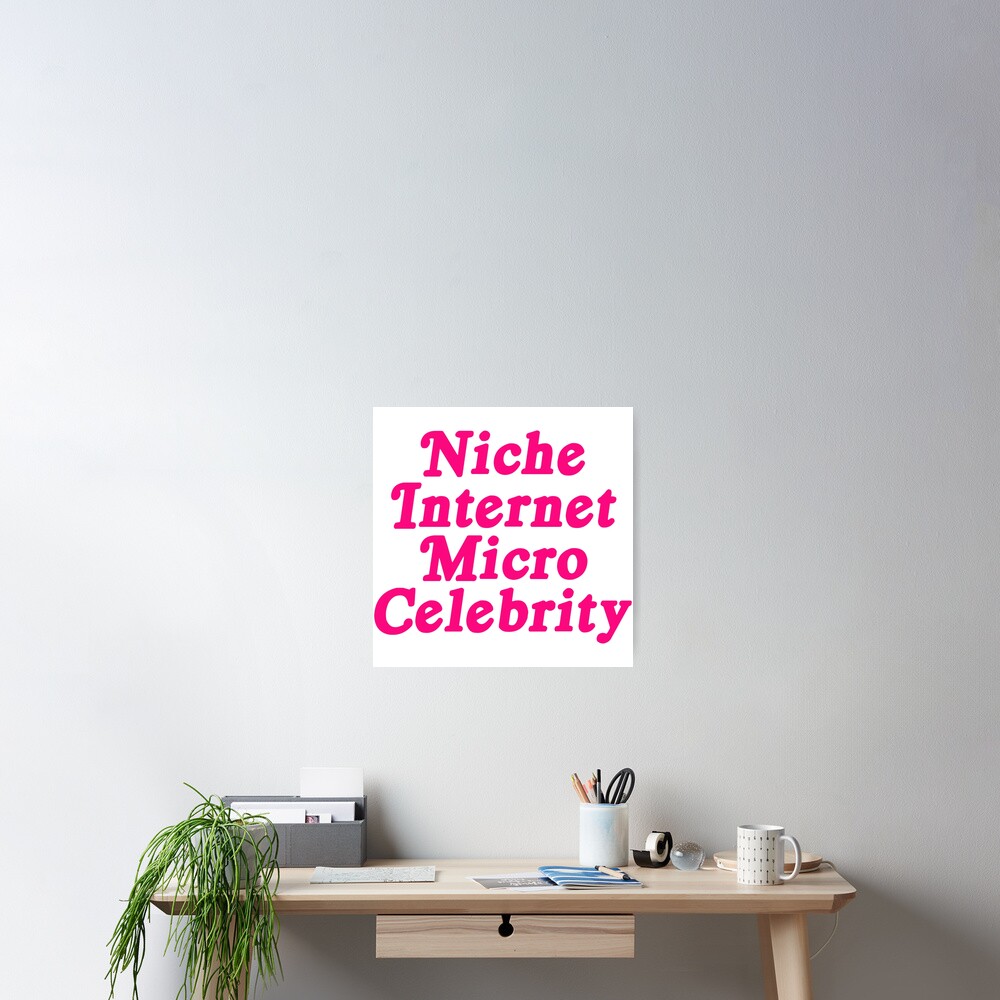 "niche internet micro celebrity " Poster for Sale by skgallery | Redbubble