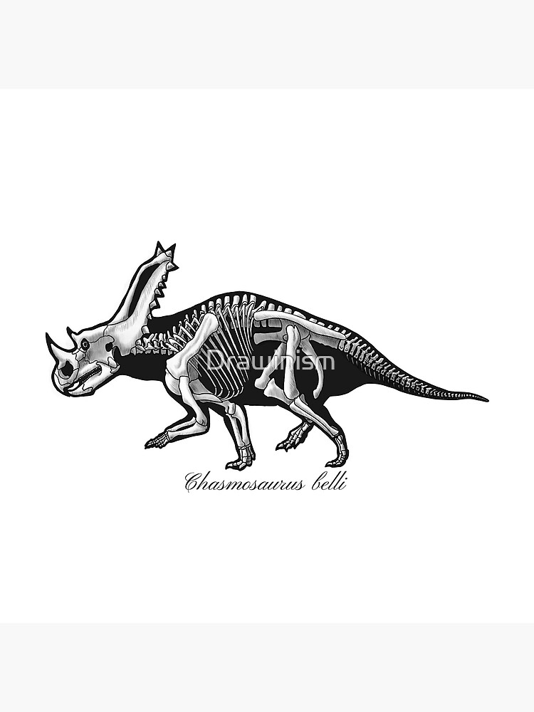 "Chasmosaurus skeleton" Poster for Sale by Drawinism | Redbubble