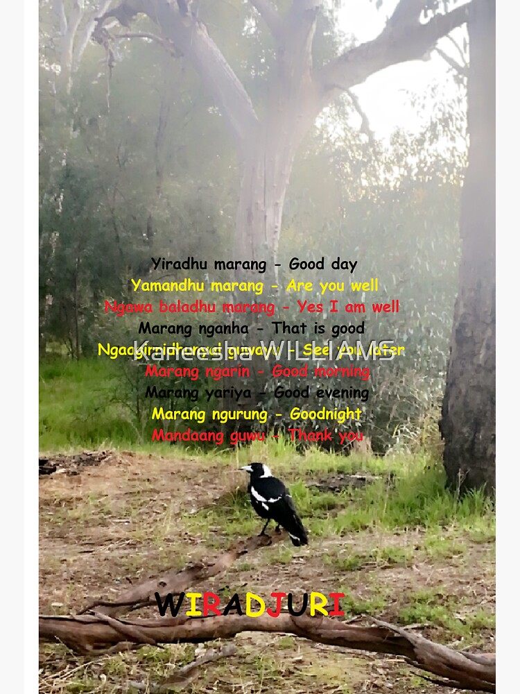 "wiradjuri language" Sticker for Sale by Kaneesha9596 | Redbubble