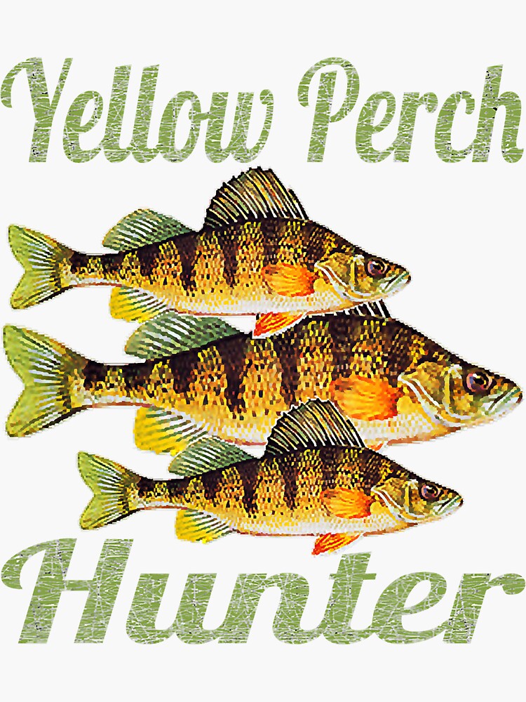 "Yellow Perch Hunter Fishing Freshwater" Sticker by unassertive19 ...