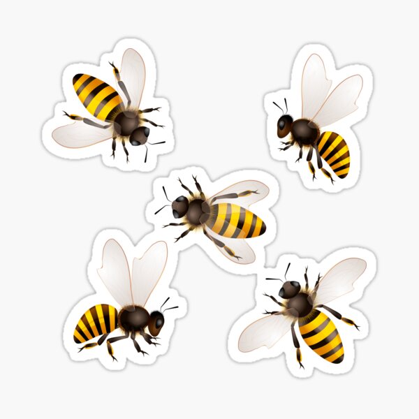 "bees stickers" Sticker for Sale by Sagar2020 | Redbubble
