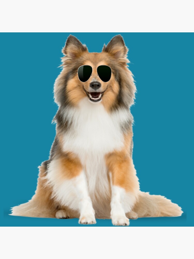 "Cute Dog with Swag" Poster for Sale by Alamexx | Redbubble
