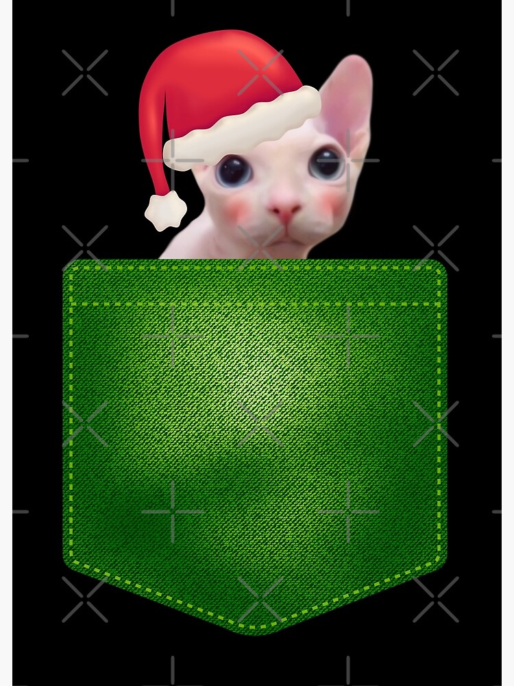 "Funny Bingus Cat Meme - Christmas Cat Meme Pocket" Photographic Print ...